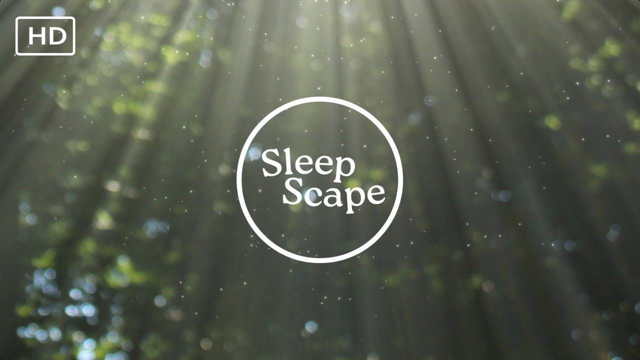Nature’s Glow | Peaceful Ambient Music • Original Music by SleepScape ...