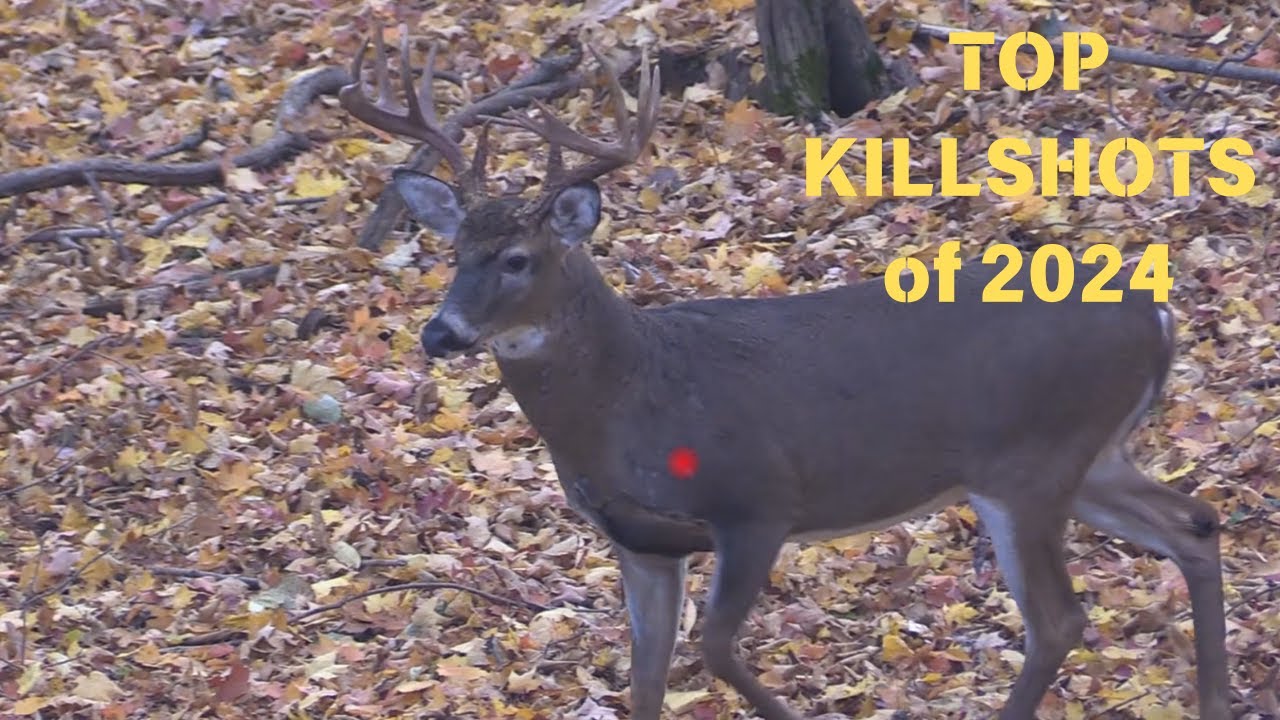 Top 7 deer hunting kill shots of 2024! | Ohio Deer Hunting - YouTube