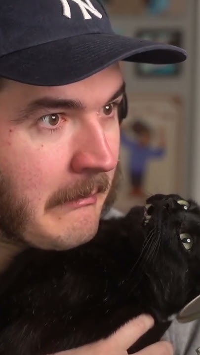 Schlatt's Cat "Hugs" Him - YouTube