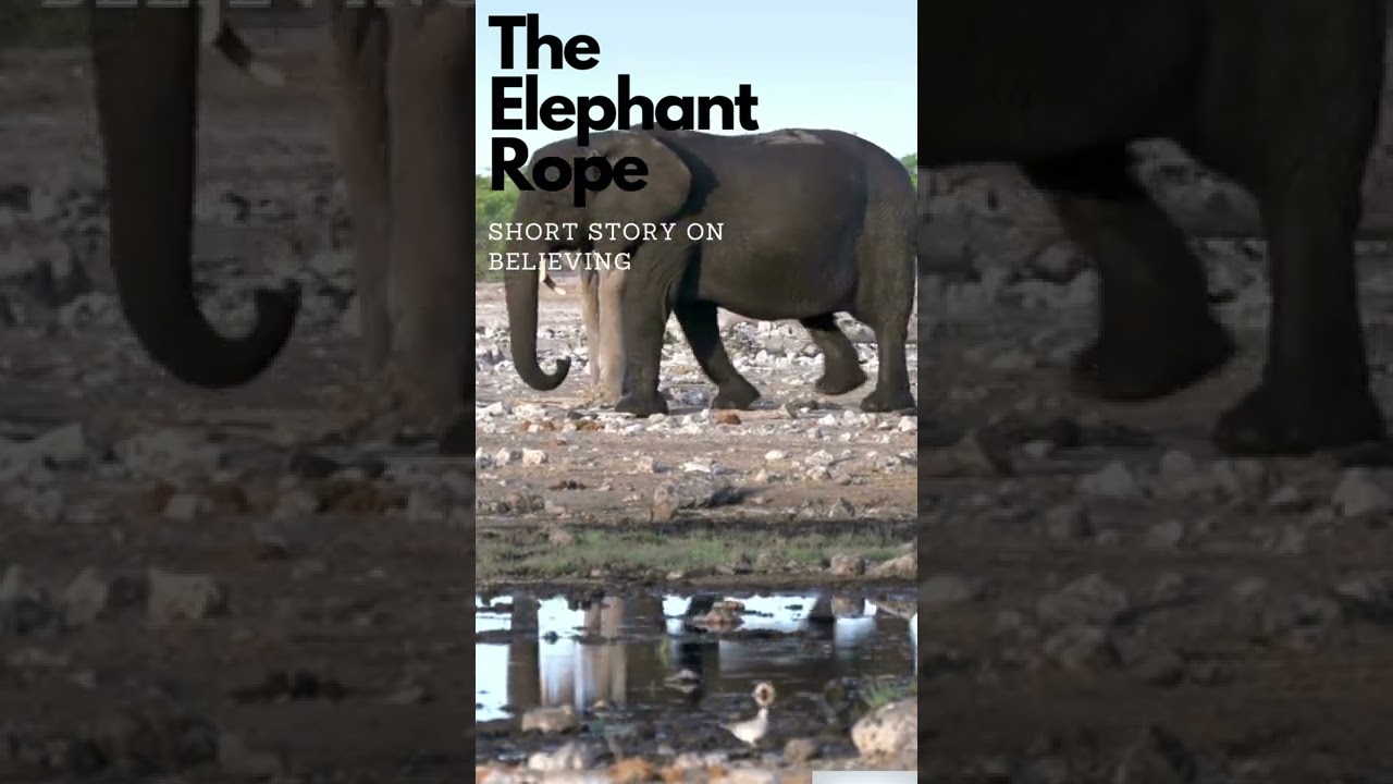 The Elephant Rope - YouTube