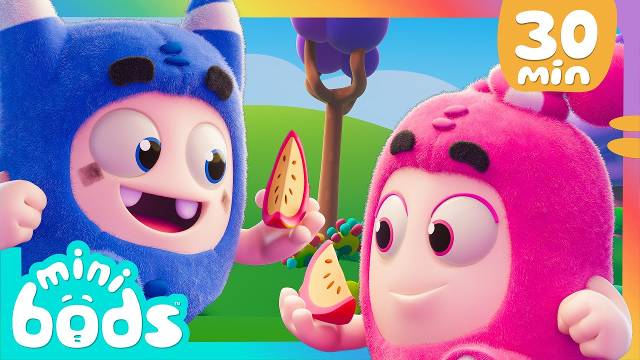 🍉 O Piquenique dos Minibods! 🍉 | MINIBODS BRASIL | Moonbug Kids em ...