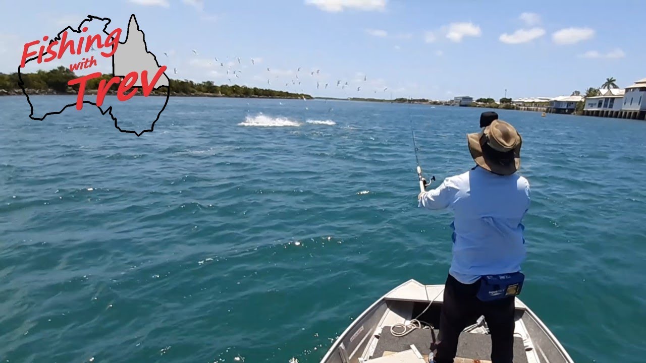 Lure fishing for Mackerel - YouTube