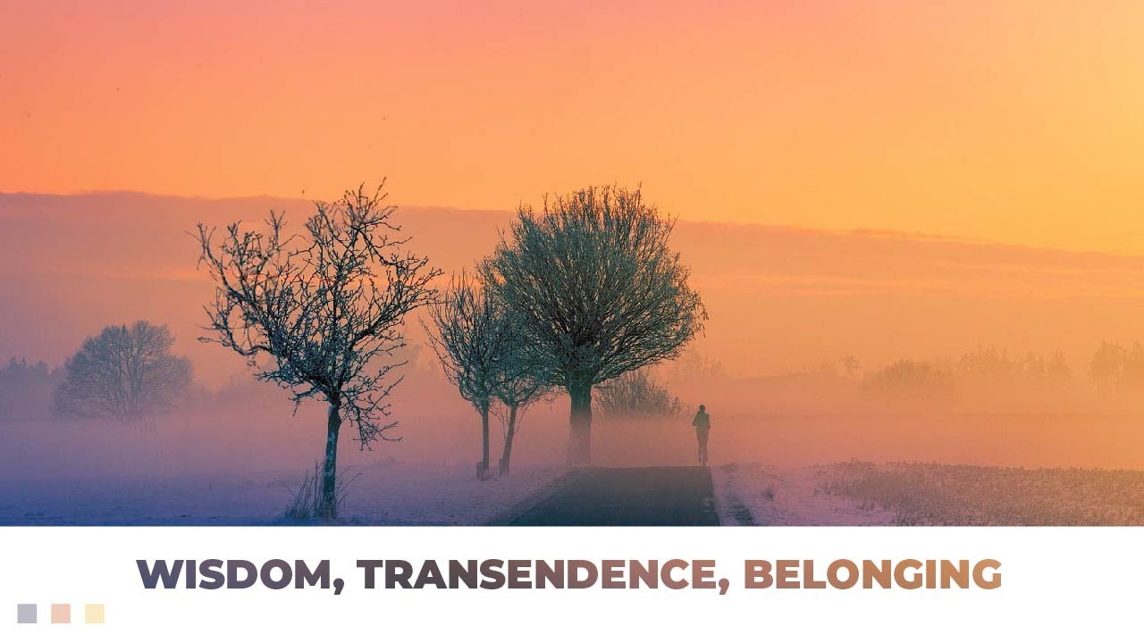 Transcendence: Where's the Magic? - YouTube