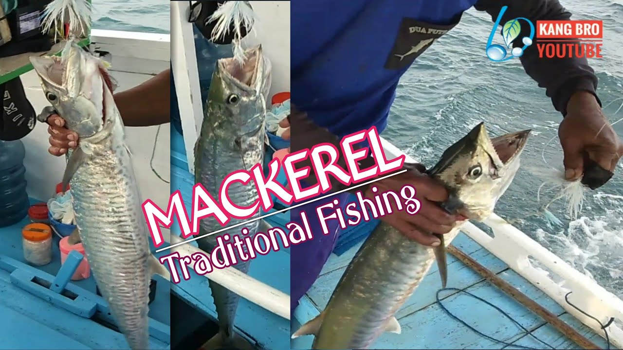 Traditional Mackerel Fishing // MANCING/TONDA TENGGIRI DI AREA LAUT ...