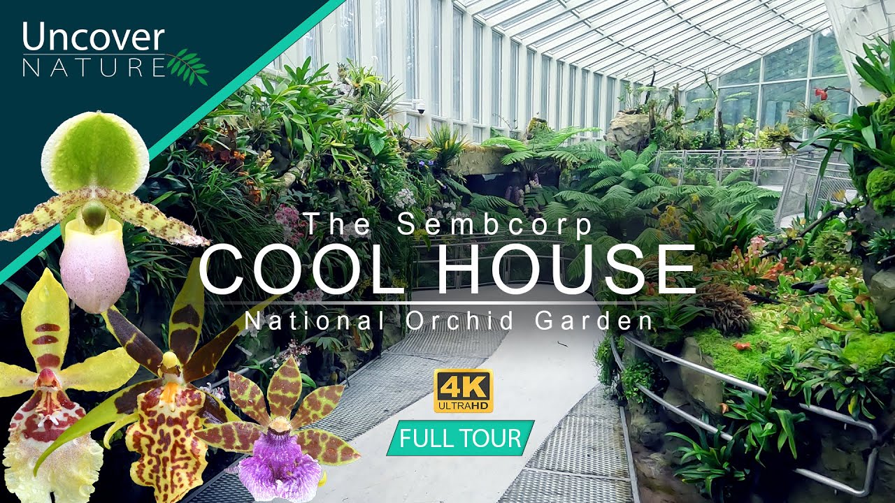 Sembcorp Cool House | National Orchid Garden - Singapore 4K - YouTube