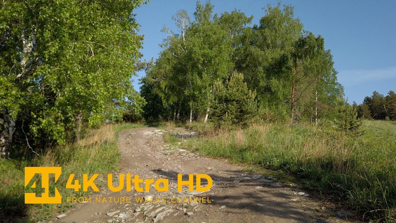 A Spring Morning Hike with Outdoor - YouTube