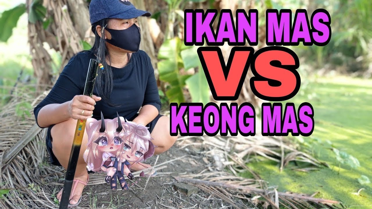 MANCING AMBYAR ~ MANCING CANTIK ~ LADY FISHING - MANCING IKAN BETOK DI ...