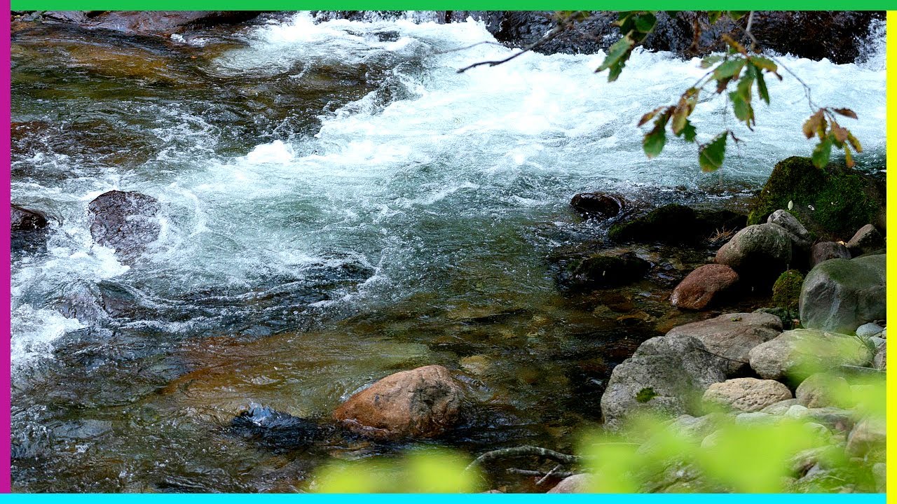 Streaming Water Sounds for Relaxing 물소리 - YouTube