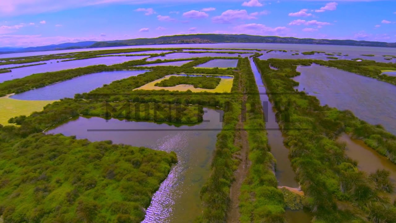 FILM MONKEYPIX - YouTube