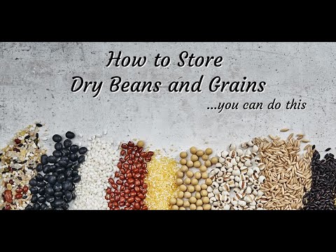 How to Store Dry Beans and Grains - YouTube