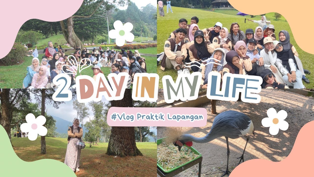 Indonesian Vlog📹: Ragunan Pusat Primata Schmutzer Jakarta & Kebun Raya ...