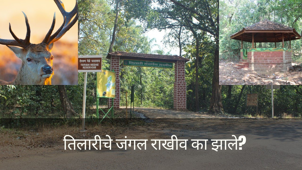 Tilari conservation reserve #TilariWildLife #TilariEcoTourism - YouTube