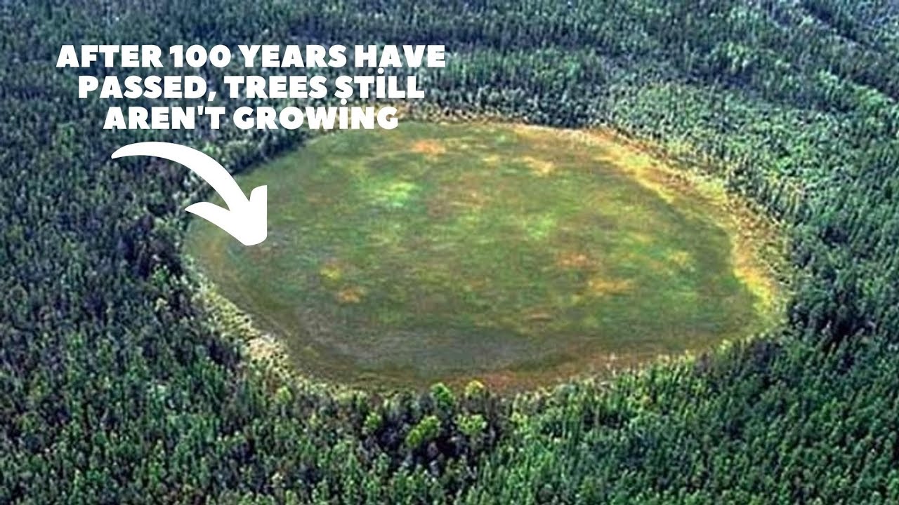 Tunguska Event: Unraveling the Mysterious Catastrophe of 1908 | Must ...