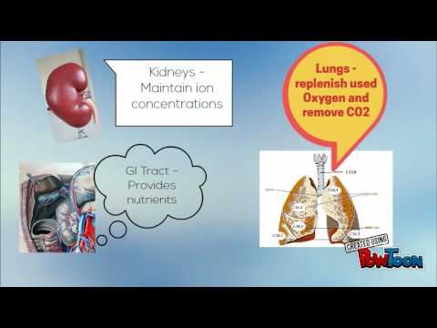 Guyton Physiology Chapter 1 (Part 2) - YouTube