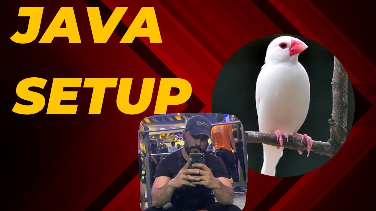 Java sparrow Setup #javabreedingtips #javabreeding #whitejava - YouTube