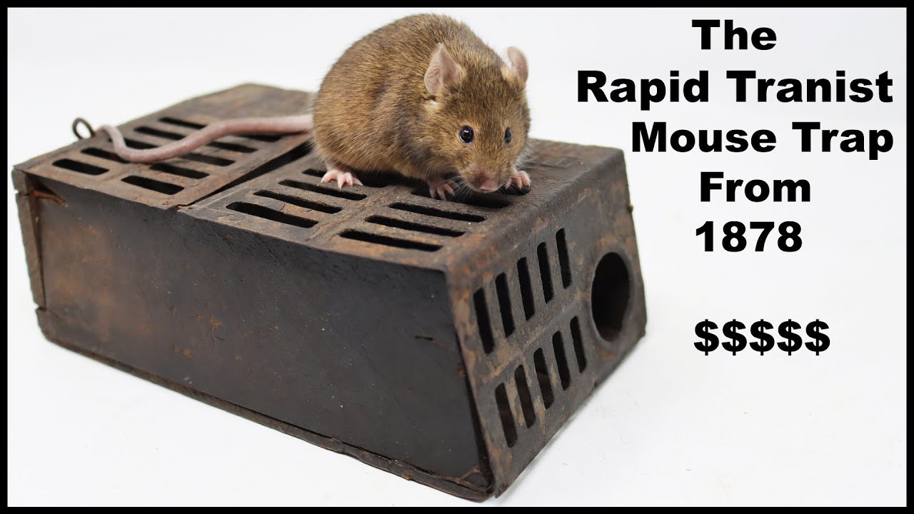 The Rapid Transit Mouse Trap From 1878. One of My Rarest Mousetrap ...
