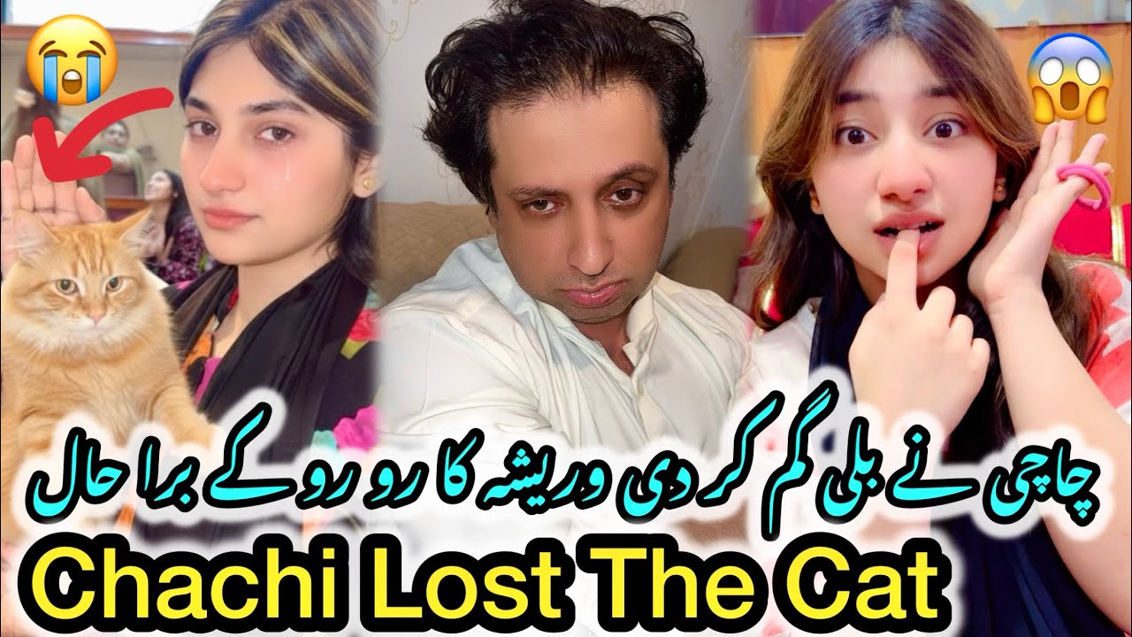 Chachi Lost The Cat | Daily Vlogs | Winters Vlogs | Faisalabad Vlogs ...