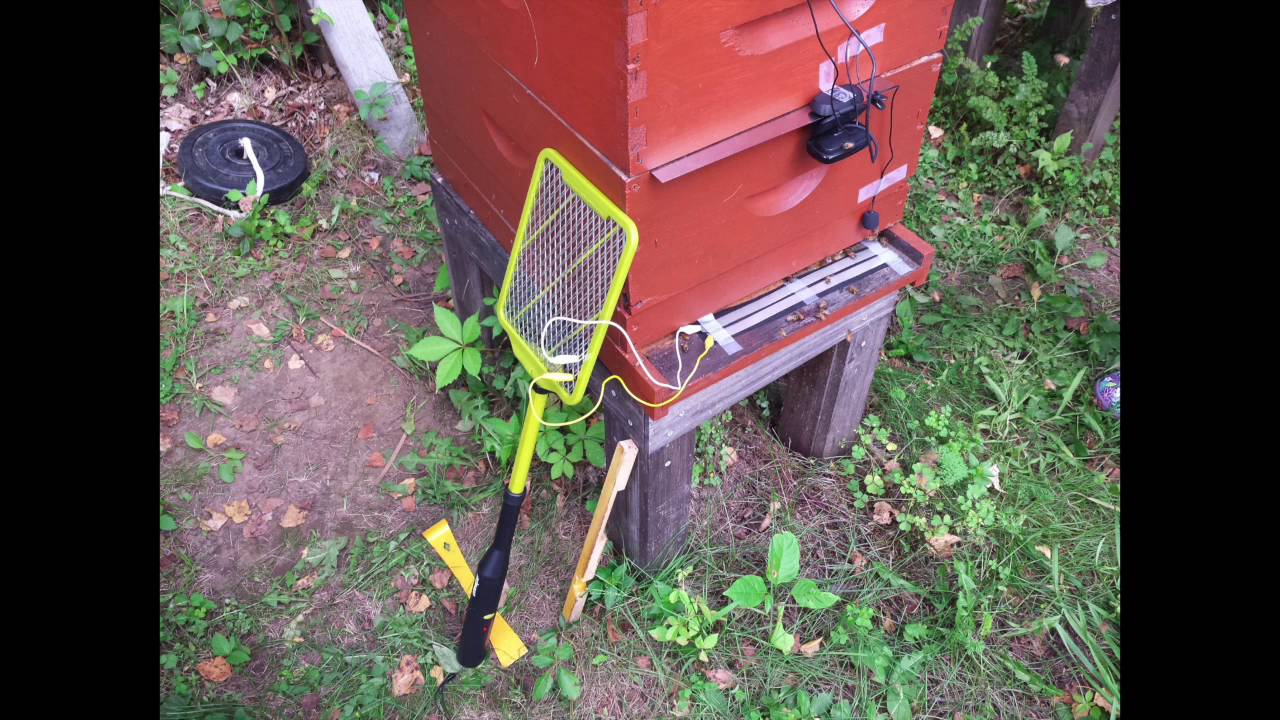 Indian Beekeeping - John Abbott - Milwaukee Waukesha Beekeepers ...