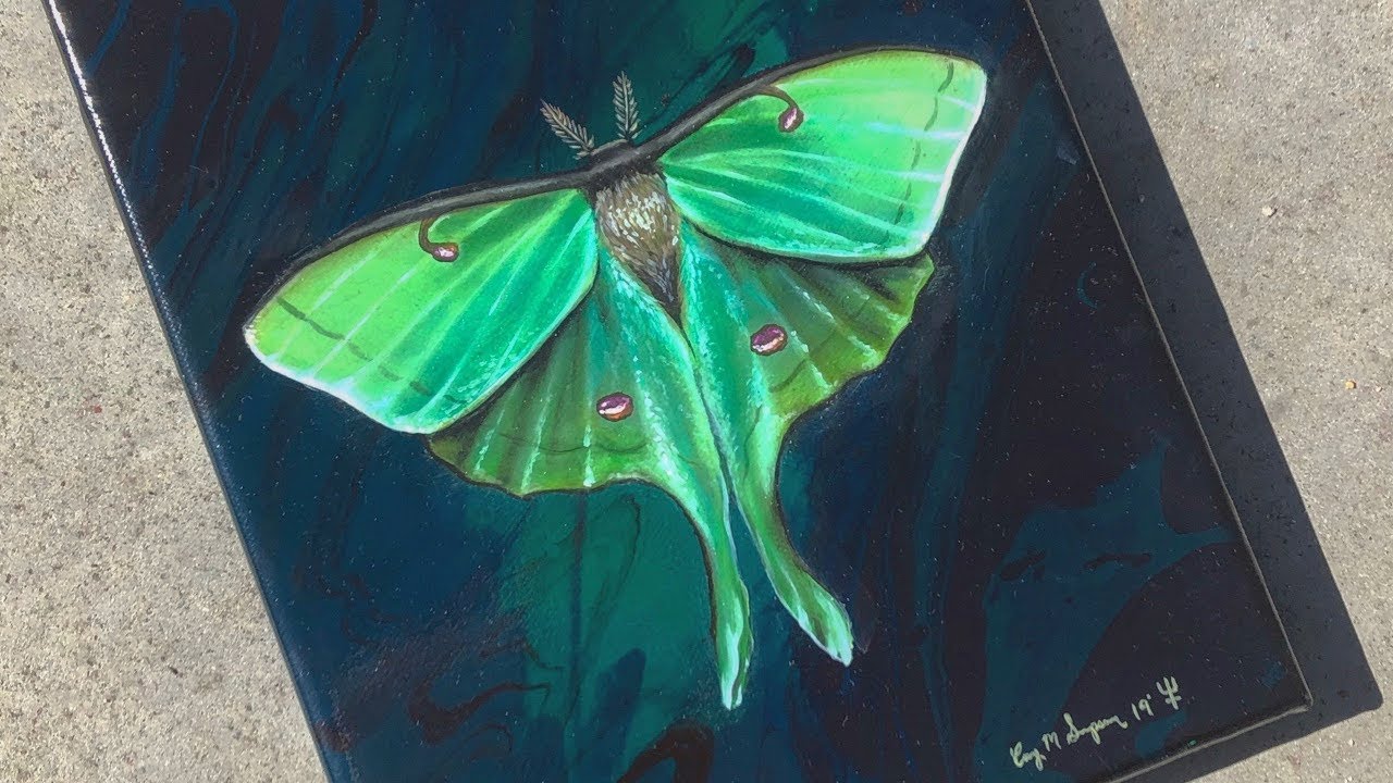 Painting a Luna Moth - YouTube
