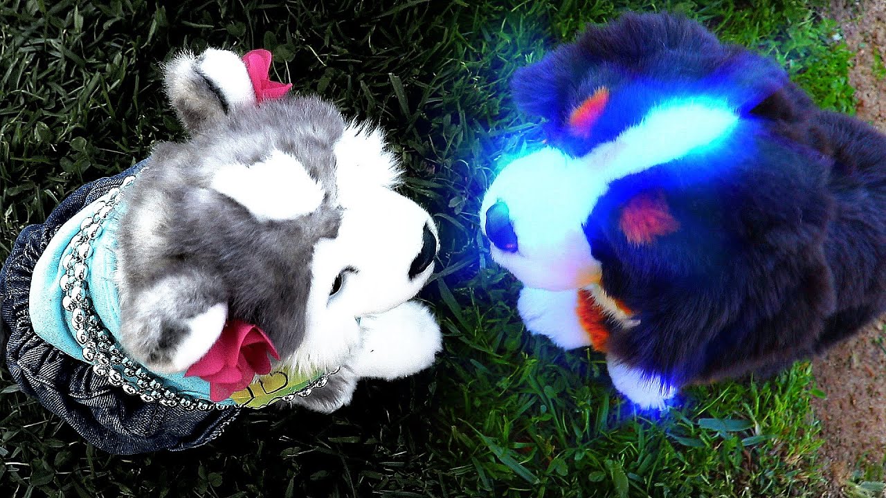 Lightning Dogs of Power (Episode #16: Designing Disaster, Abilities to ...