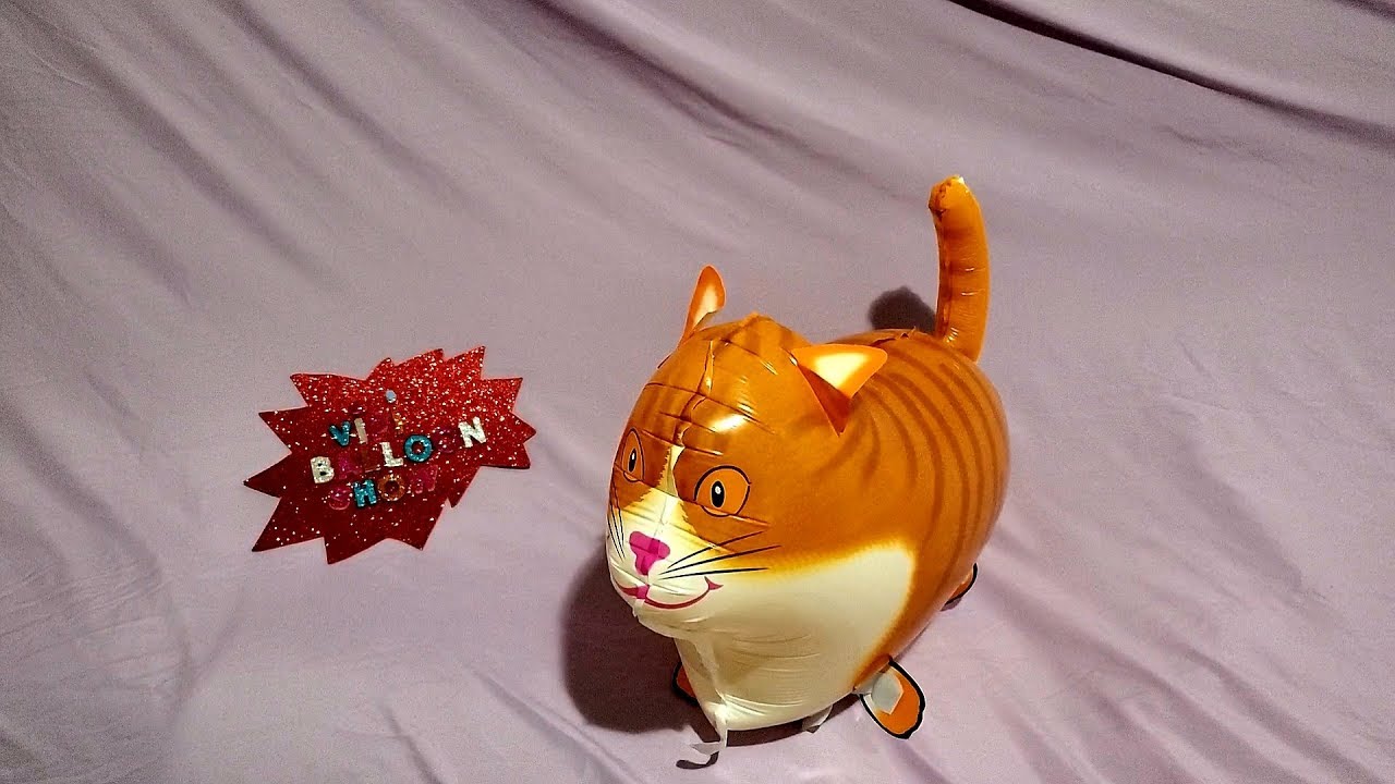 CAT MYLAR BALLOON INFLATION!! - YouTube