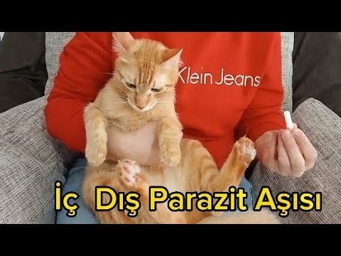 Kediler için İç Dış Parazit Aşısı #keşfet