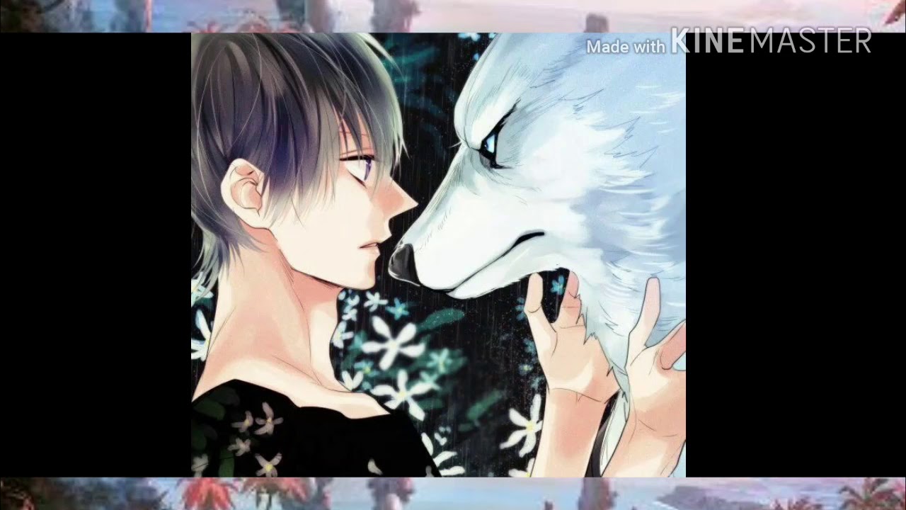 TOP 5 MANGAS OMEGAVERSE - YouTube