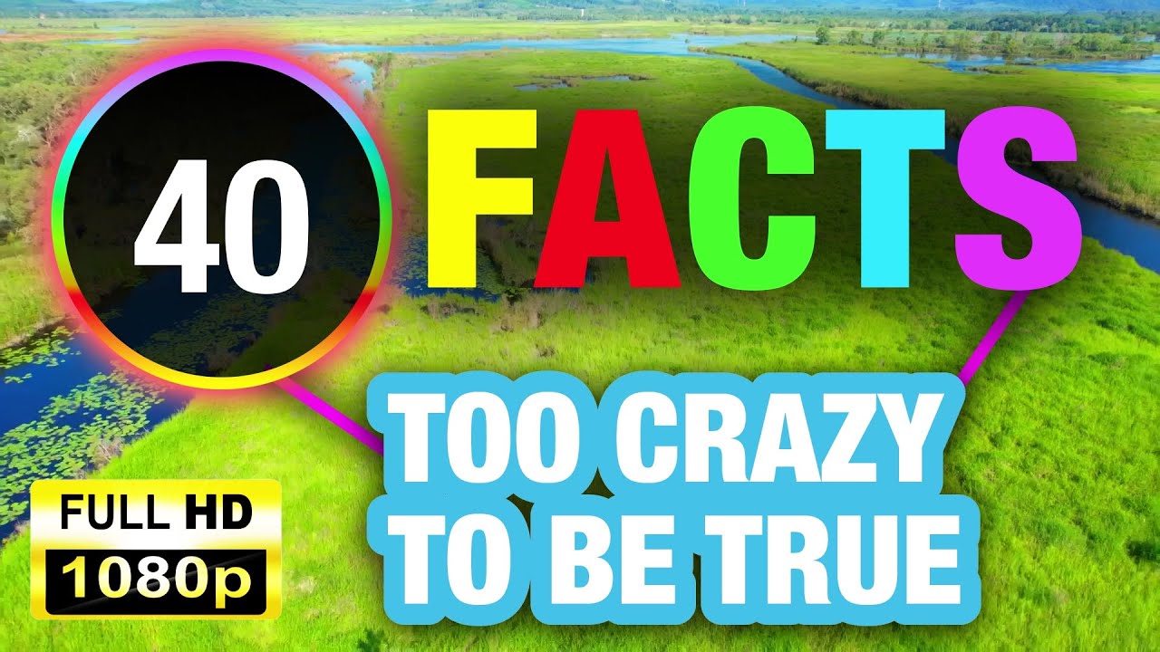 40 Shocking Facts That Sound Impossible but Aren’t! - YouTube