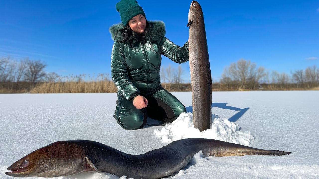 Very Tasty Fish that looks like a Snake! Recipe for Baked River Eel in ...