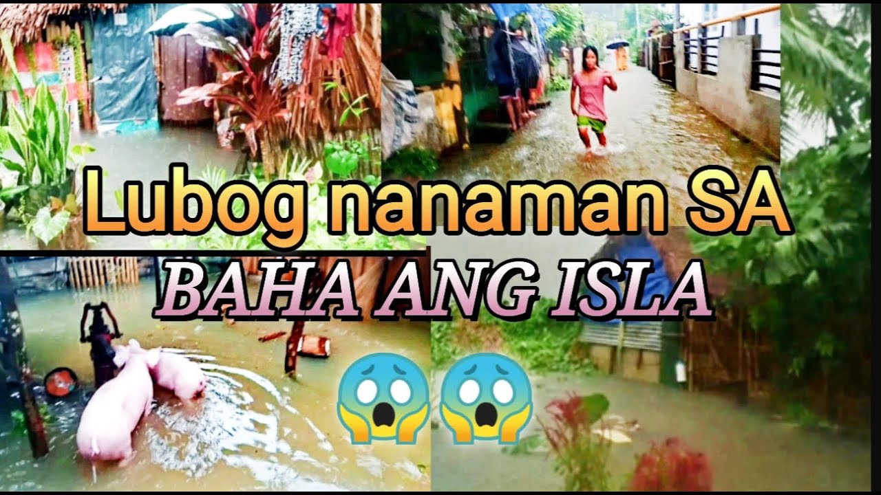 OMG!!! /Walang tigil ang ulan/BAHA SA ISLA 😱😱(nov 21 update) # ...