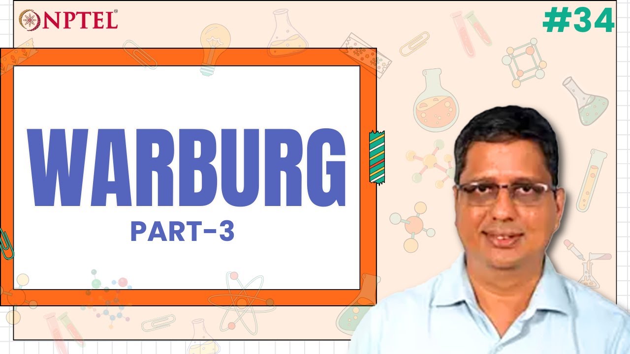 #34 Warburg | Part 3 | Electrochemical Impedance Spectroscopy - YouTube