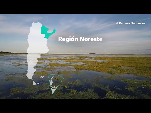 Servicio De Parques Nacionales Del Noreste Regional Parque Nacional