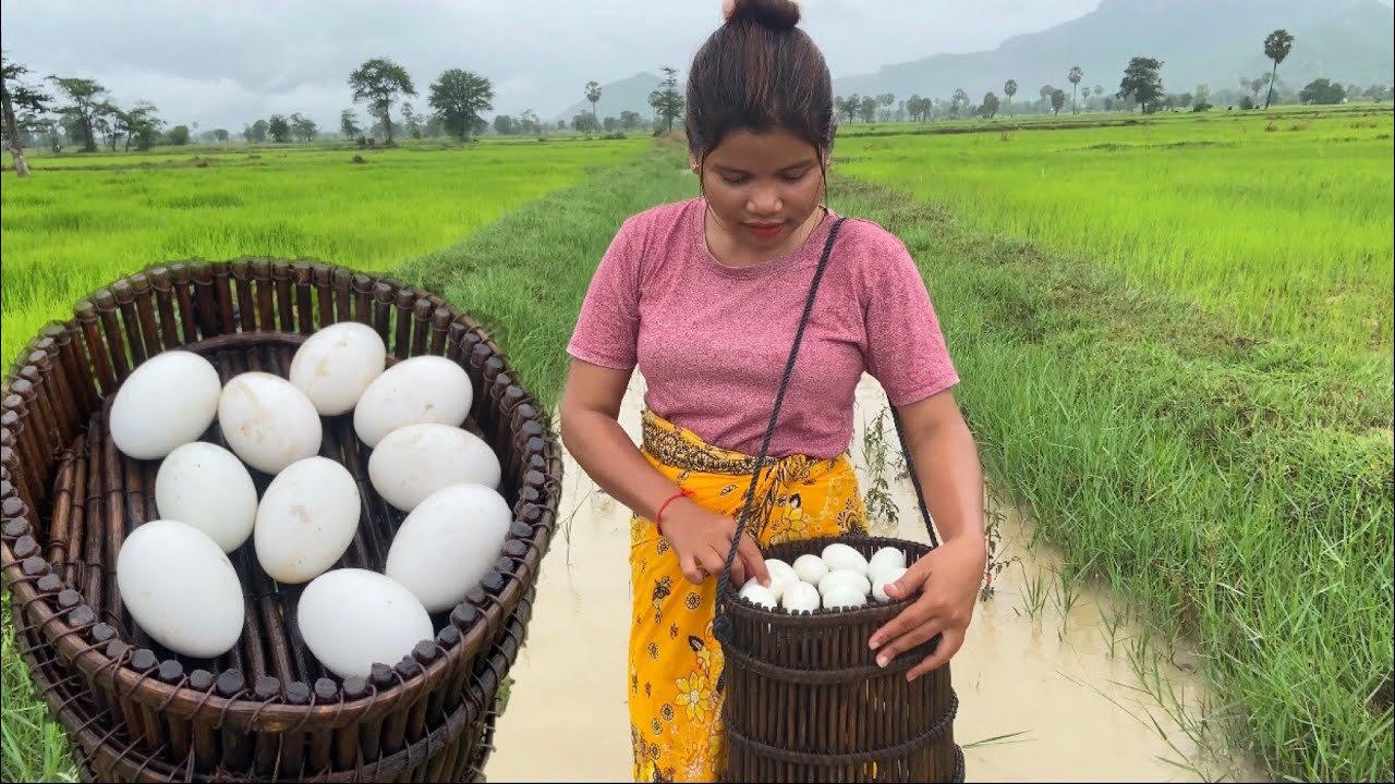 Country style cook snake eggs with chili sauce recipe and eat - Amazing ...