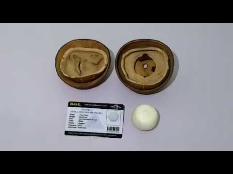 Coconut Pearl White Colour, Botanical Gem Natural Shell - YouTube