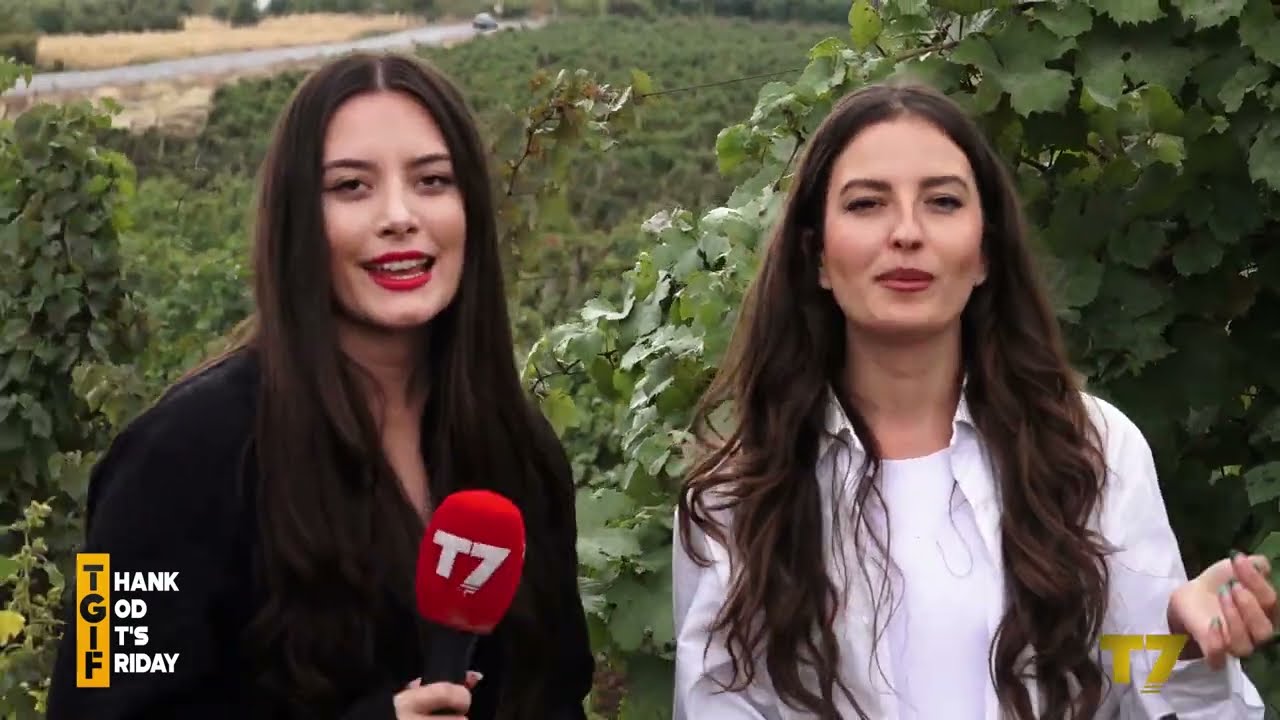 TGIF, Milaim Zeka, Naim Abazi - YouTube