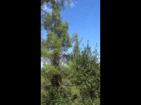 Exursie in munti Cipru