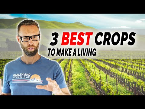 How Many Seeds Does A Farmer Plant In One Acre
