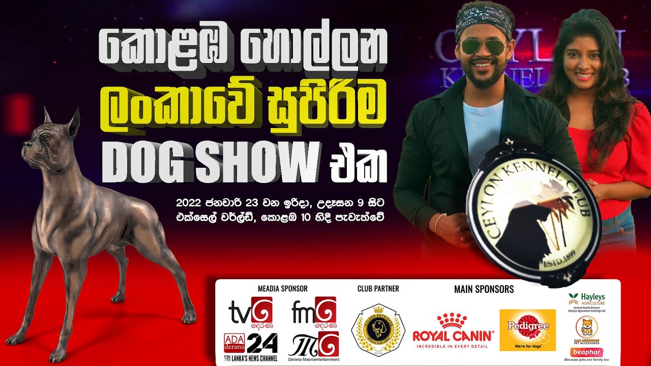 කොළඹ හොල්ලන ලංකාවේ සුපිරිම DOG SHOW එක | Pet Talk - YouTube
