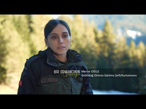 Bir Ormancının Günlüğü 🌳 Kastamonu Gelindağ Orman İşletme Şefliği