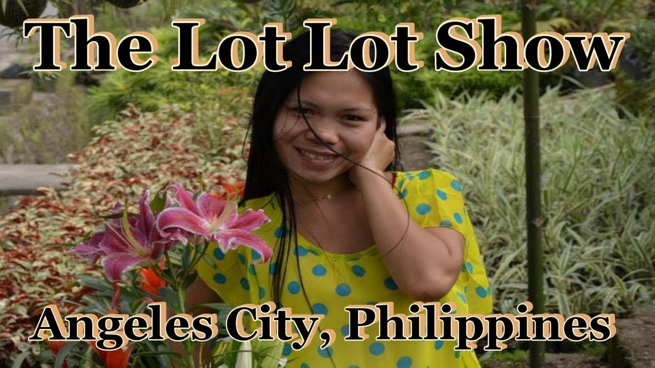 The Lot Lot Show #24 : Questions and Answers - YouTube