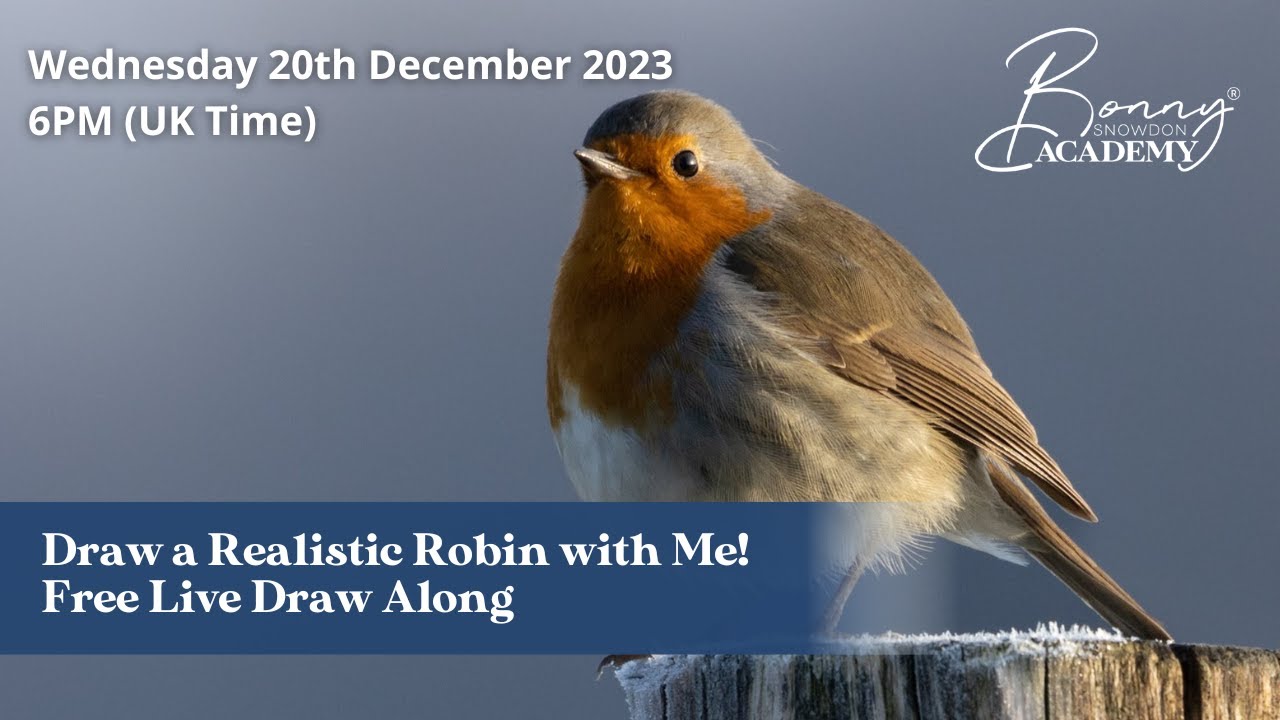 Draw a Realistic Robin in Coloured Pencil with Me | Free Live Draw ...