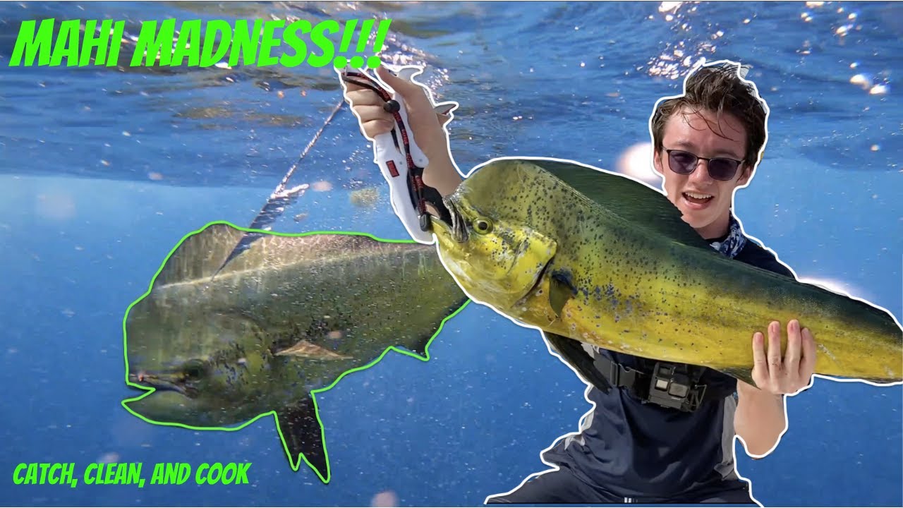 Mahi-Mahi Catch Clean and Cook in the Caribbean!!! -- Ocean Surfari ...