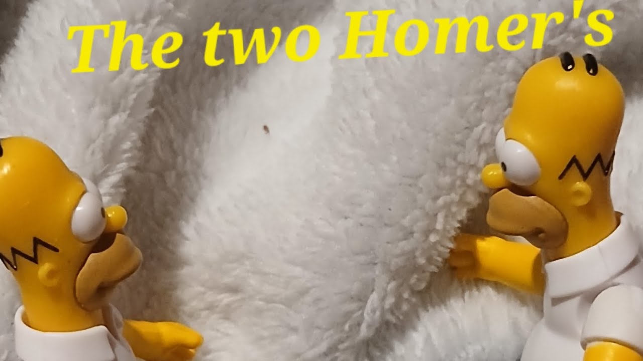 The two Homer's(Fnaf place) - YouTube