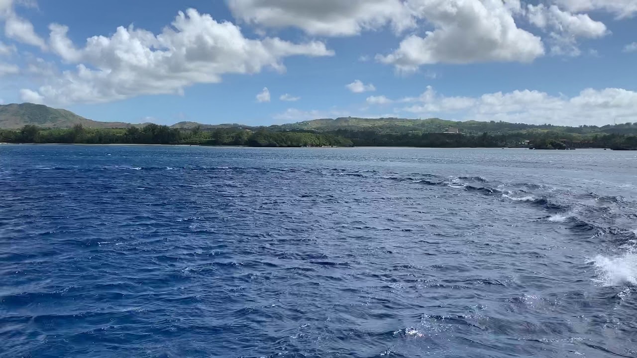 Dolphin Watching in Guam in 2019 - YouTube