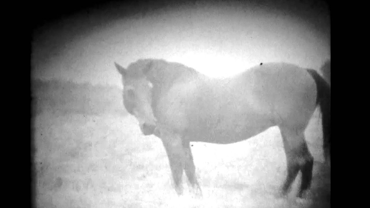 Routh Home Movies - 8 - YouTube