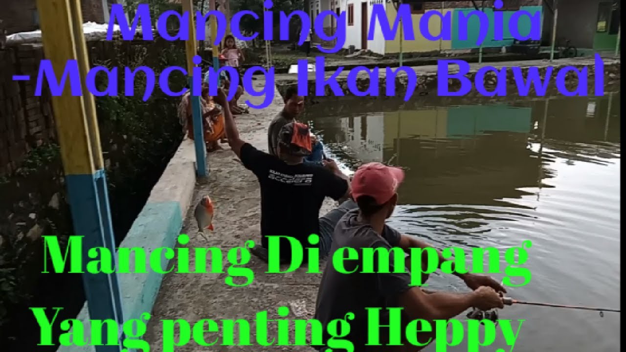 Mancing Mania Mancing Ikan Bawal Yang Penting Heppy|Mancing Di Empang ...