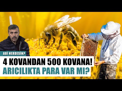 4 Kovanla Başladı 500 Kovanı Var! Arıcılıkta Para Var Mı? | Abi Nerdesin?