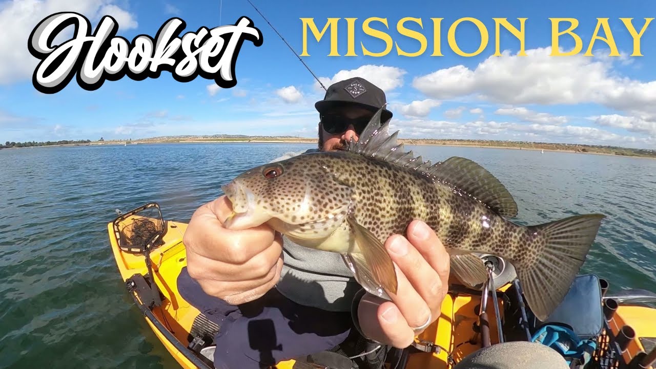 Fishing mission bay for spotted bay bass - YouTube