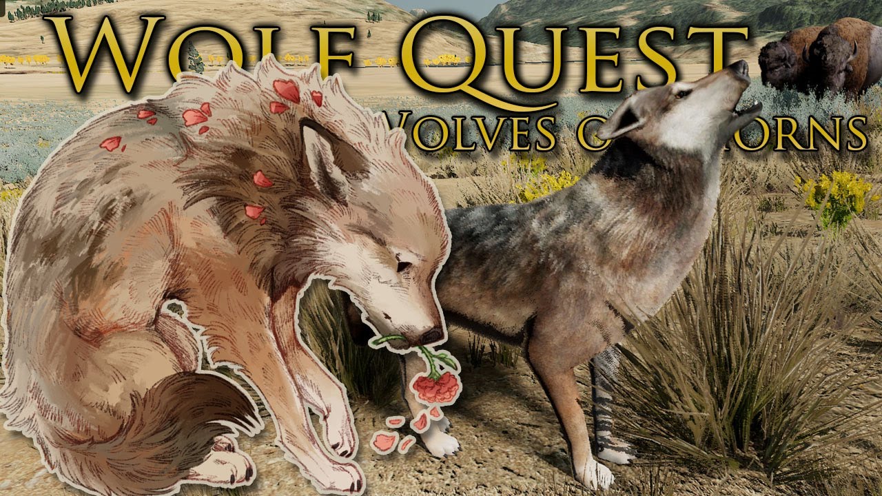 A DEADLY Battle Between Wolves and Bison?! 🐺 Wolf Quest: Wolves of ...