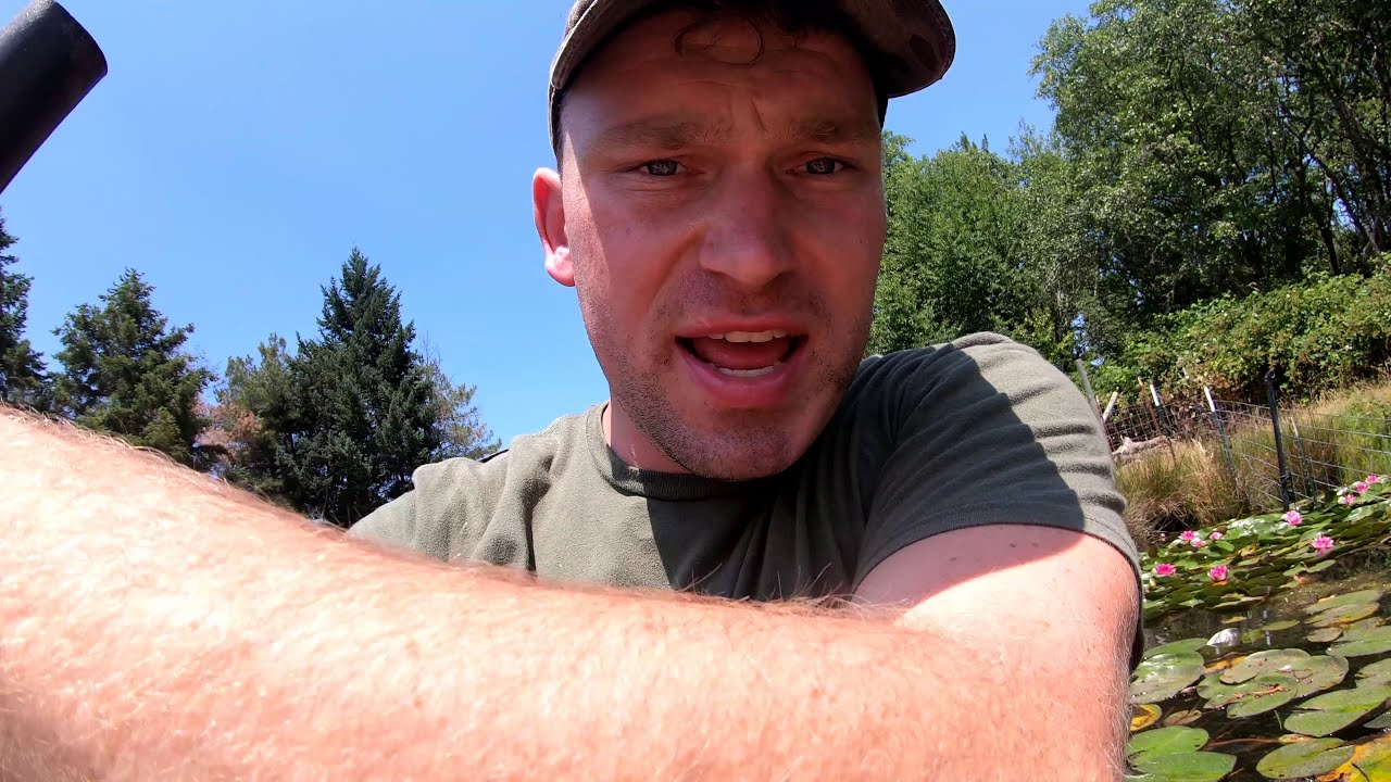 Pet Safe Muskrat Trapping Technique Floating Log Trap Set. Pond ...